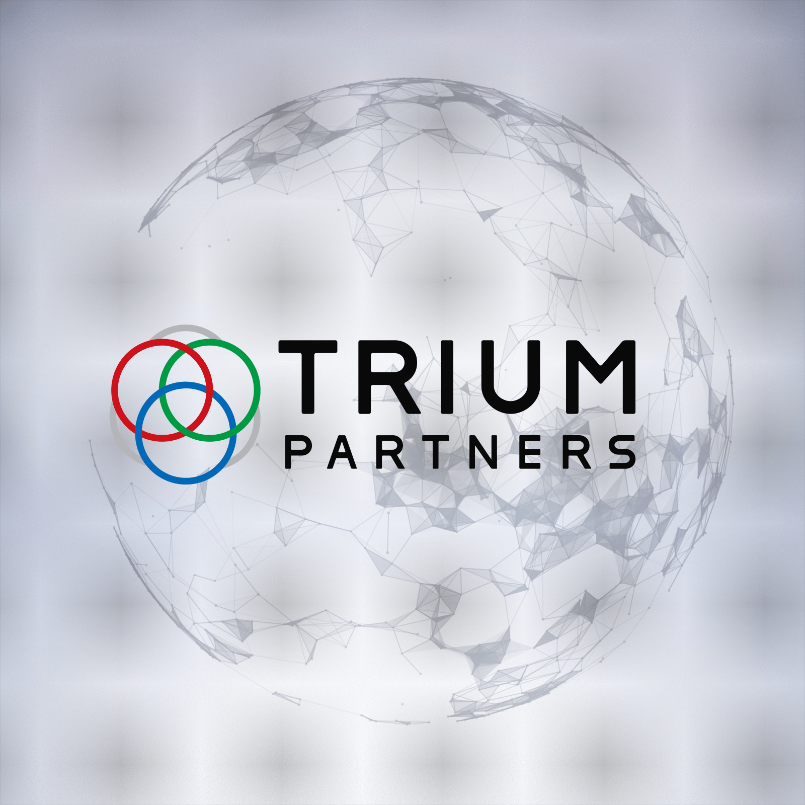 TRIUM PARTNERS - 株式会社トライアムパートナーズ